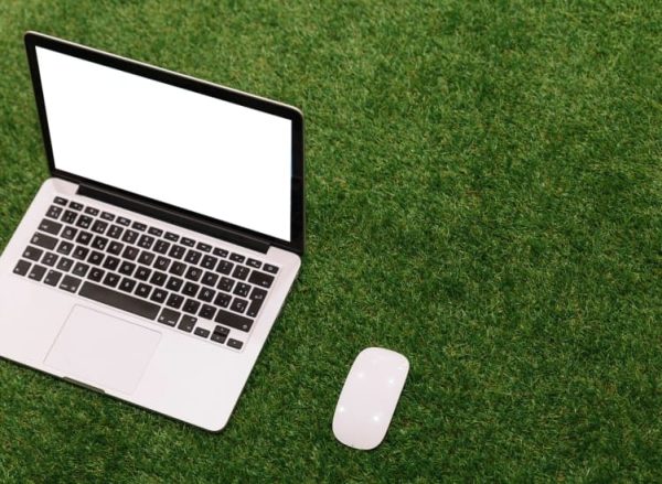 Artificial Grass Bunnings | Artificial Turf Bunnings | Auzzie Turf